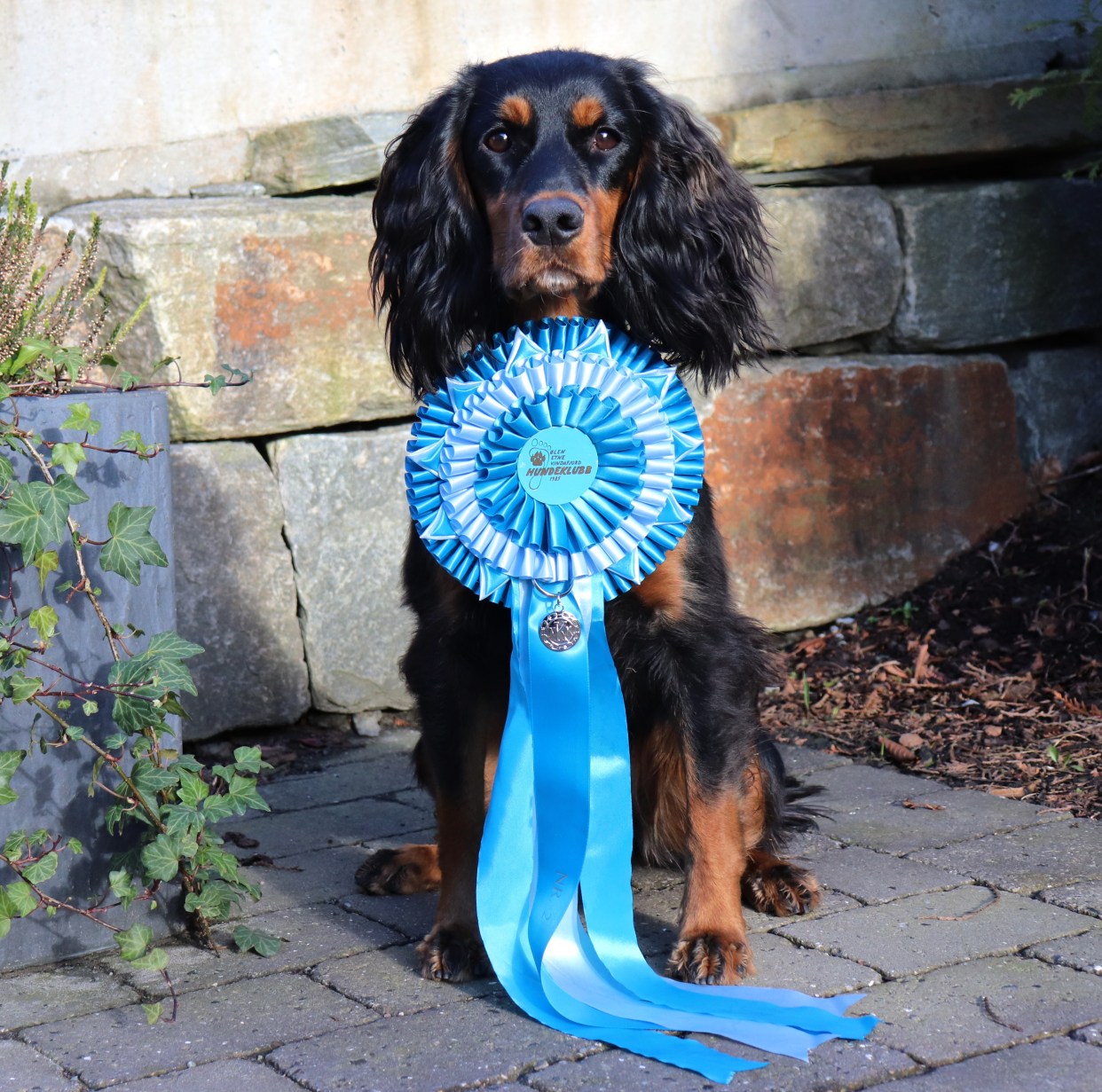 Sirkus | Working Bliss