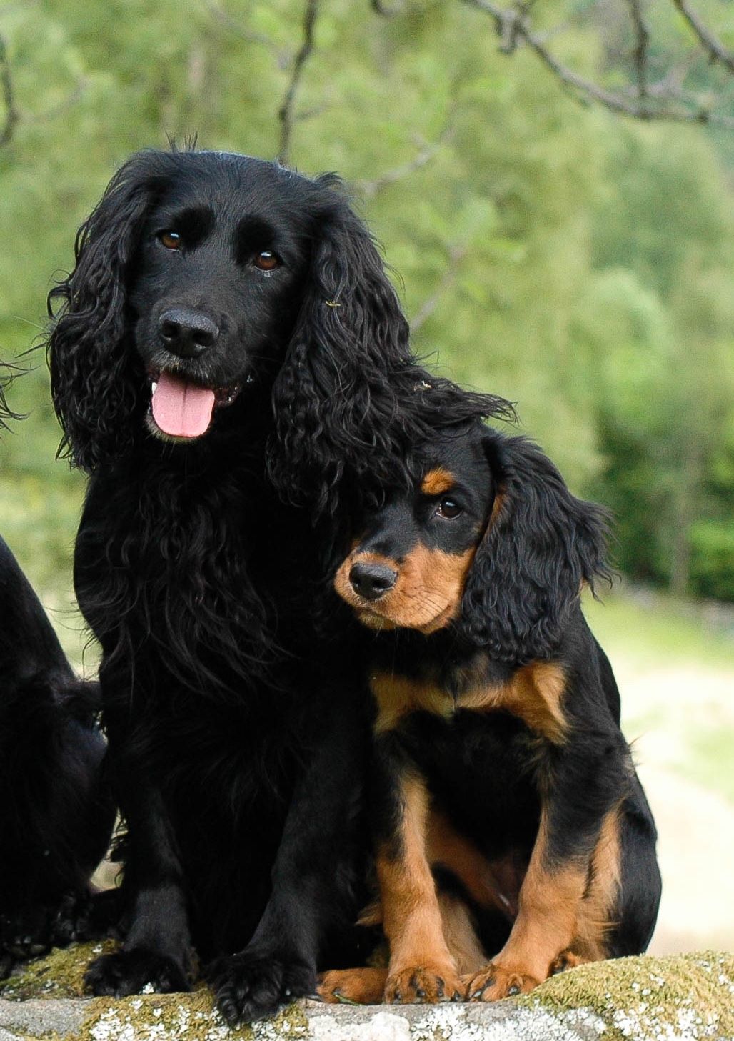 Norgesmesteren Sirkus! | Working Bliss