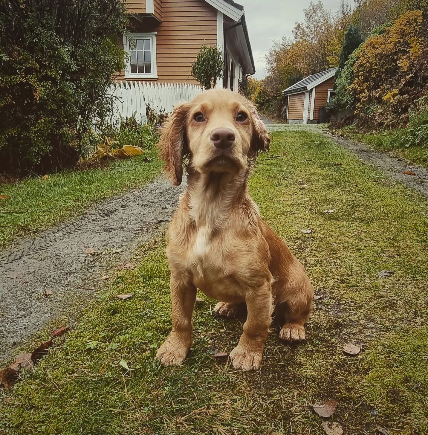 Raya | Working Bliss