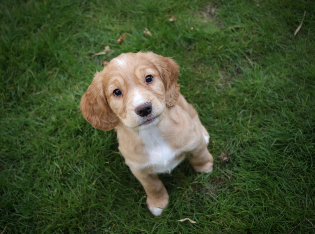 Crazy Candy kullet 2024 | Working Bliss