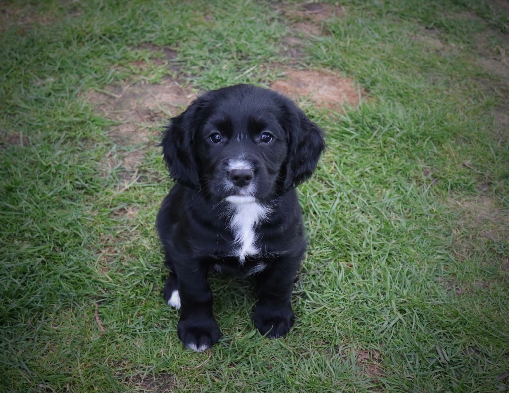 Crazy Candy kullet 2024 | Working Bliss